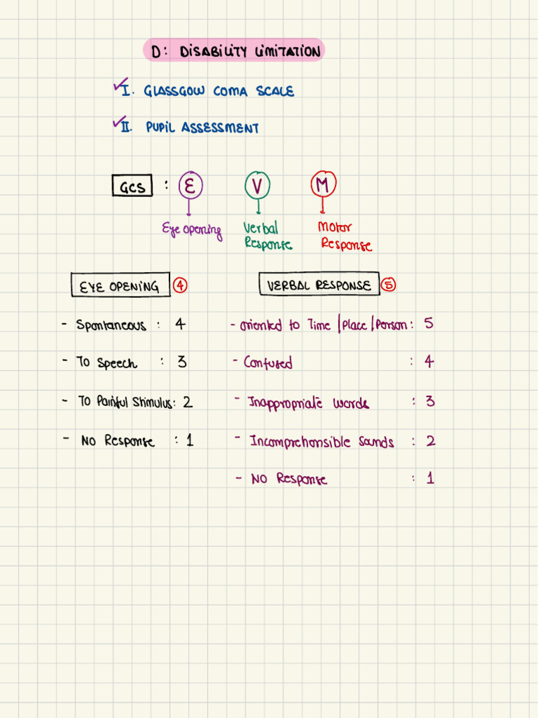 Trauma Triage and Primary Assessment 3 -- Surgery - Bailey Learned With ...