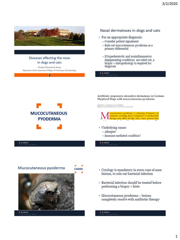 Nasal dermatitis dogs cats | PDF | Clinical Medicine | Medical Specialties