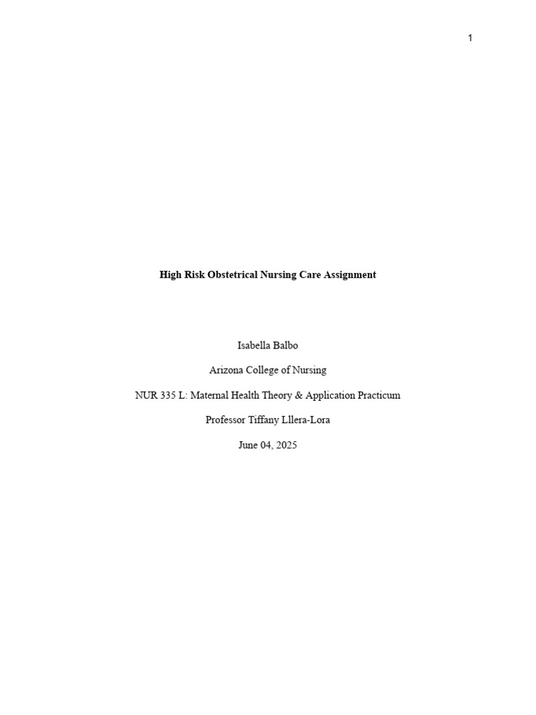 High Risk Obstetrical Nursing Care Assignment | PDF | Childbirth ...