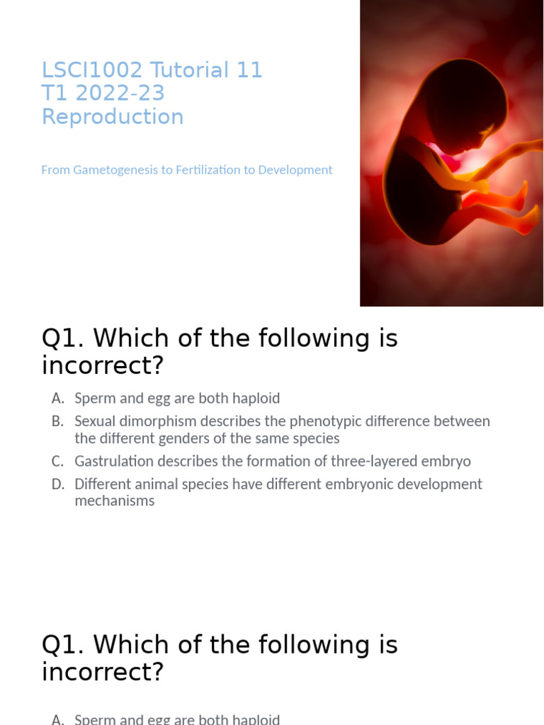 LSCI1002 - Tutorial 11 - T1 2022-23 | PDF | Luteinizing Hormone | Embryo