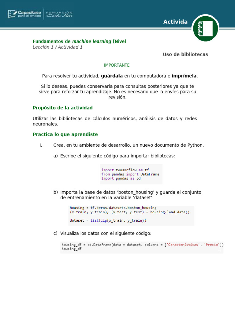 Actividad1 Del Nivel4 Leccion 1 | PDF