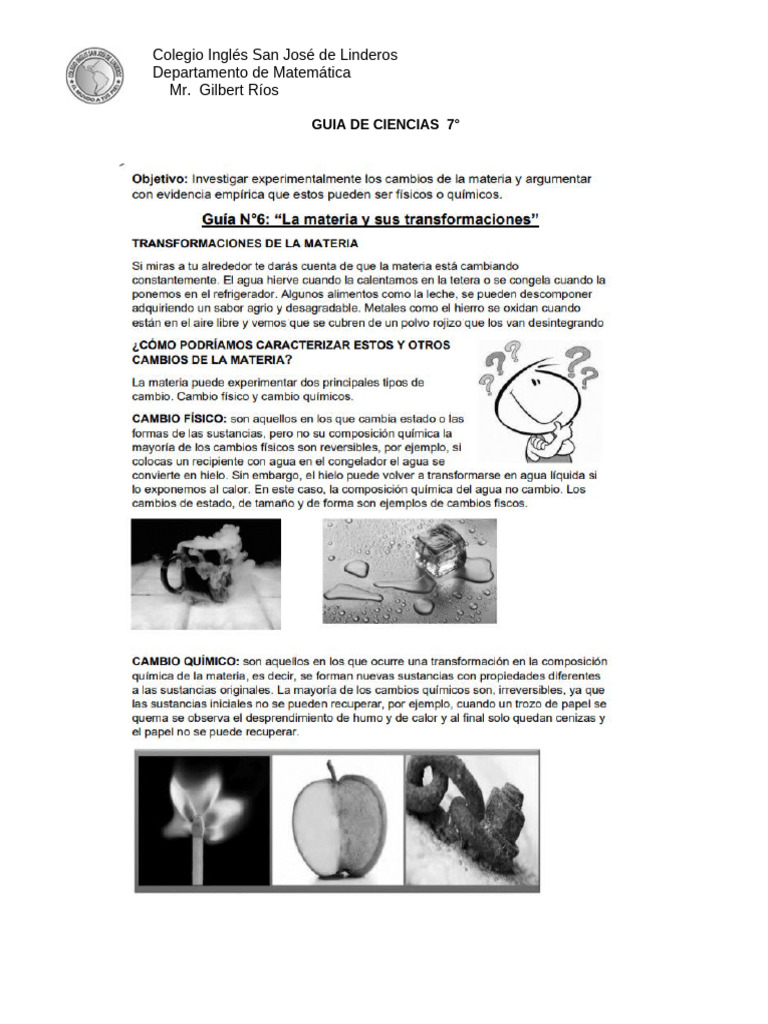 Guia de Ciencias 7 | PDF