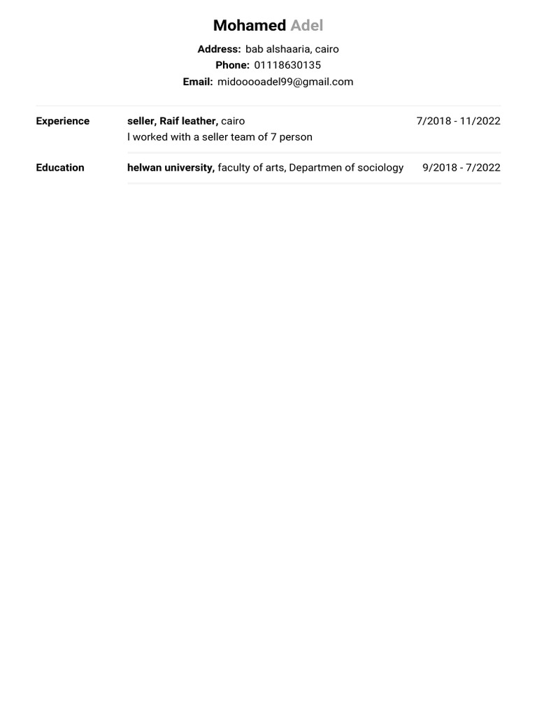 Mohamed Adel's CV Summary | PDF