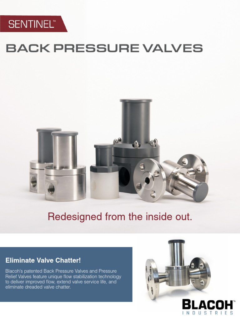Back Pressure & Relief Valves Solutions | PDF | Valve | Mechanical ...