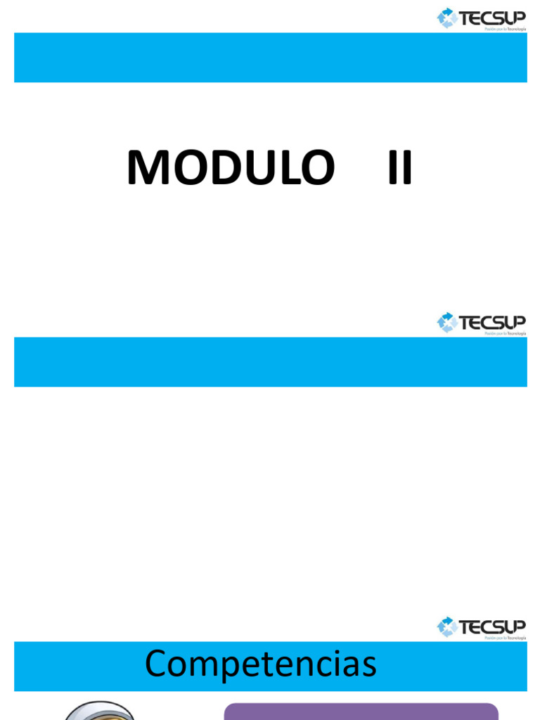 s02 Linea Base | PDF | Valores | Planificación