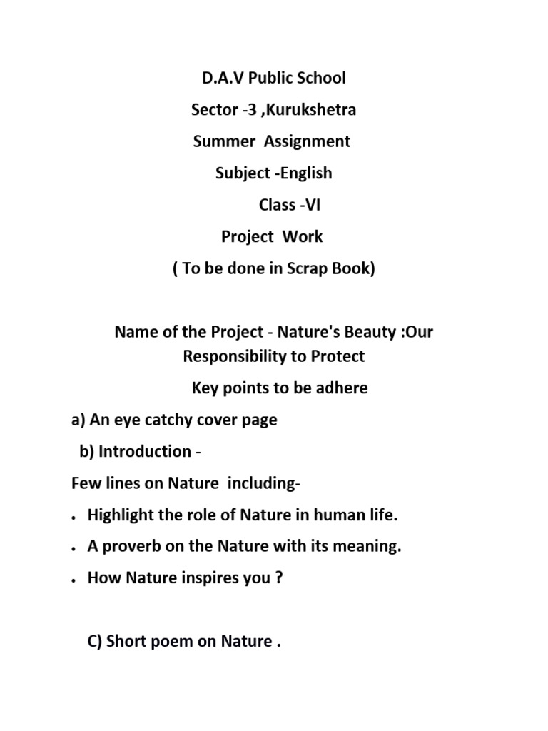 CLASS 6 Assignment 2025 | PDF