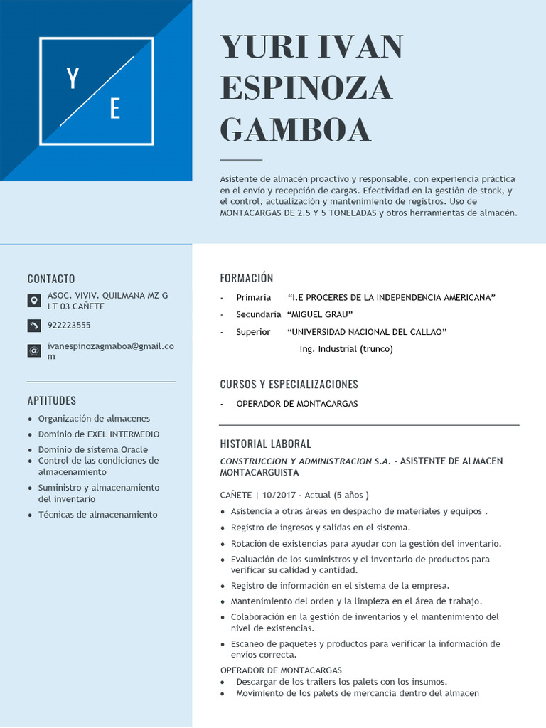Modelo de cv1 | PDF | Almacén