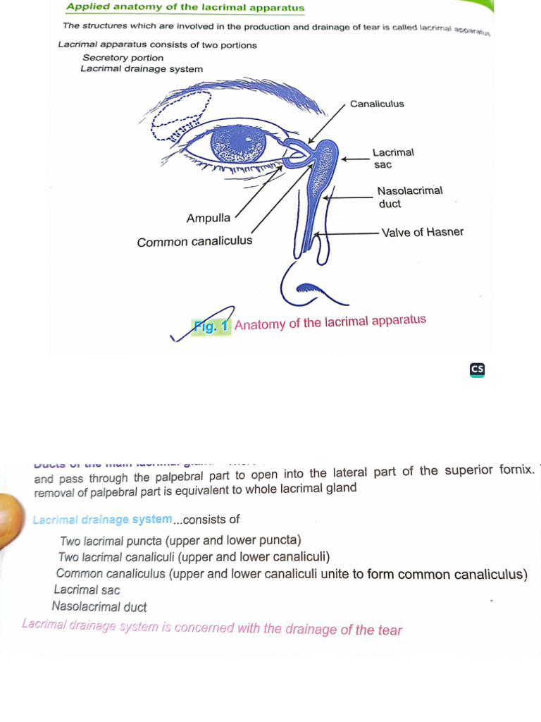 Regurgitation Test, SPT, Epiphora 4th Year | PDF