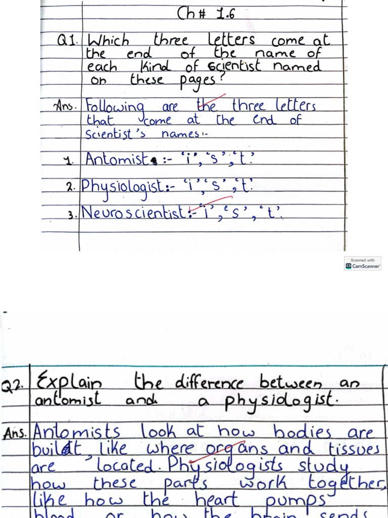 Science P1 A Q & A | PDF