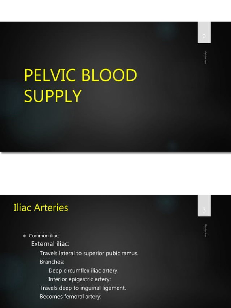 Pelvis Blood, Lymphatic and Sacral Plexus | PDF