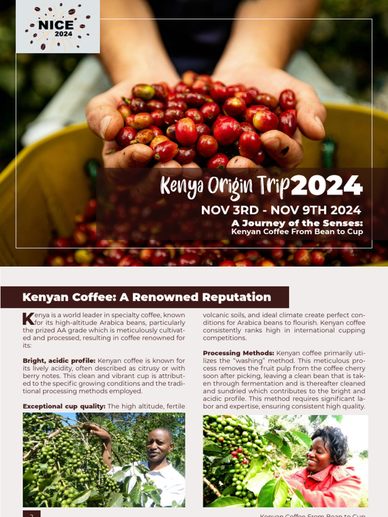 Kenya Origin Brochure 2024 | PDF | Coffee | Kenya