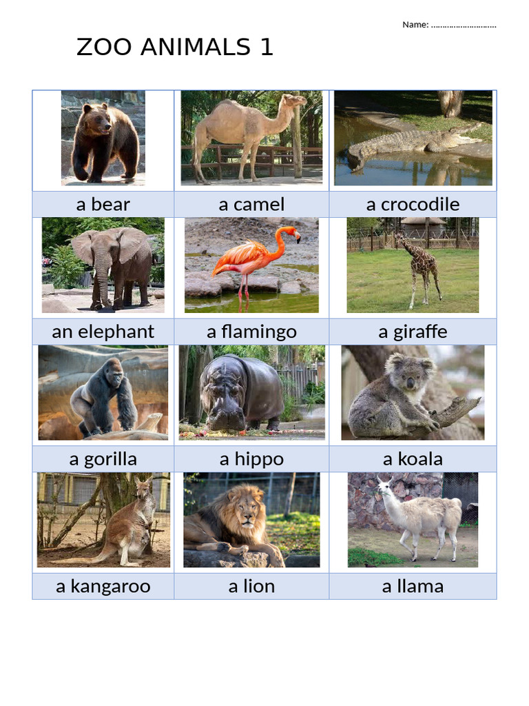 Zoo Animal f1 WK | PDF