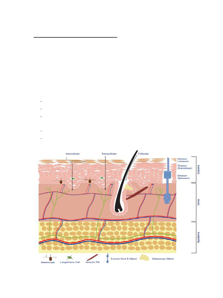 Principles of Dermatological Pharmacology | PDF | Topical Medication | Skin