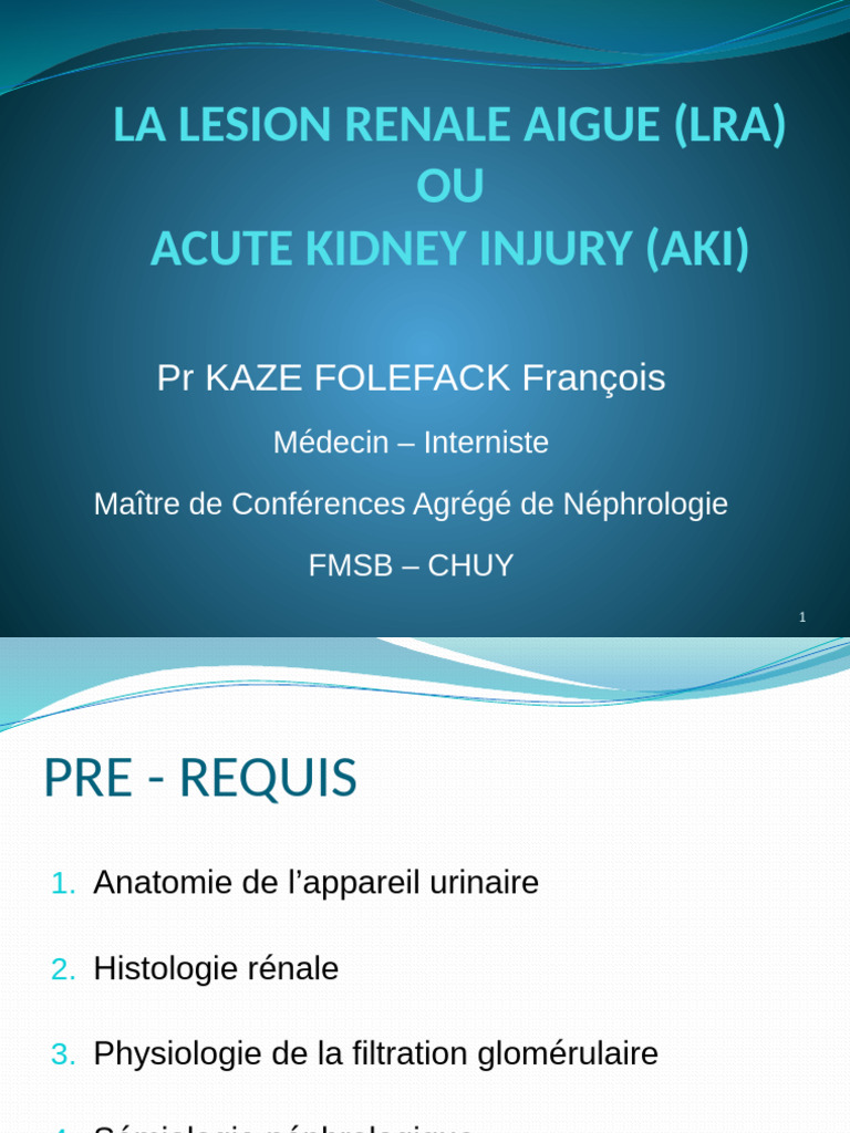 Comprendre la Lésion Rénale Aiguë (LRA) | PDF | Néphrologie ...