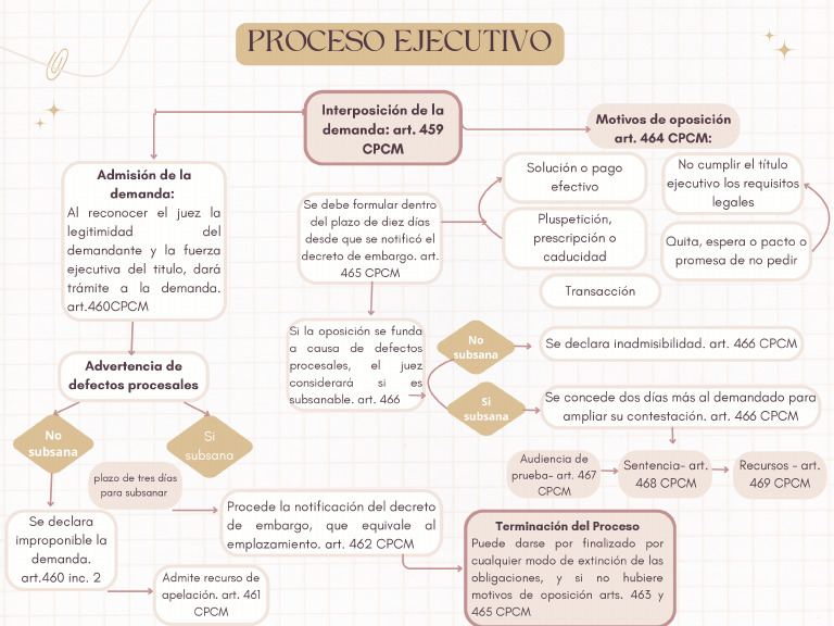 Flujograma Proceso Ejecutivo | PDF