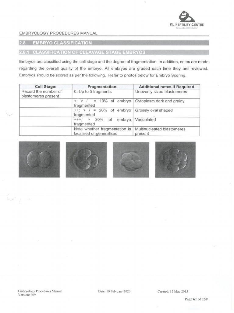 Embryo & Blastocyst Grading | PDF