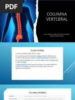 Tipos de fitos en la columna vertebral | PDF | La columna vertebral ...