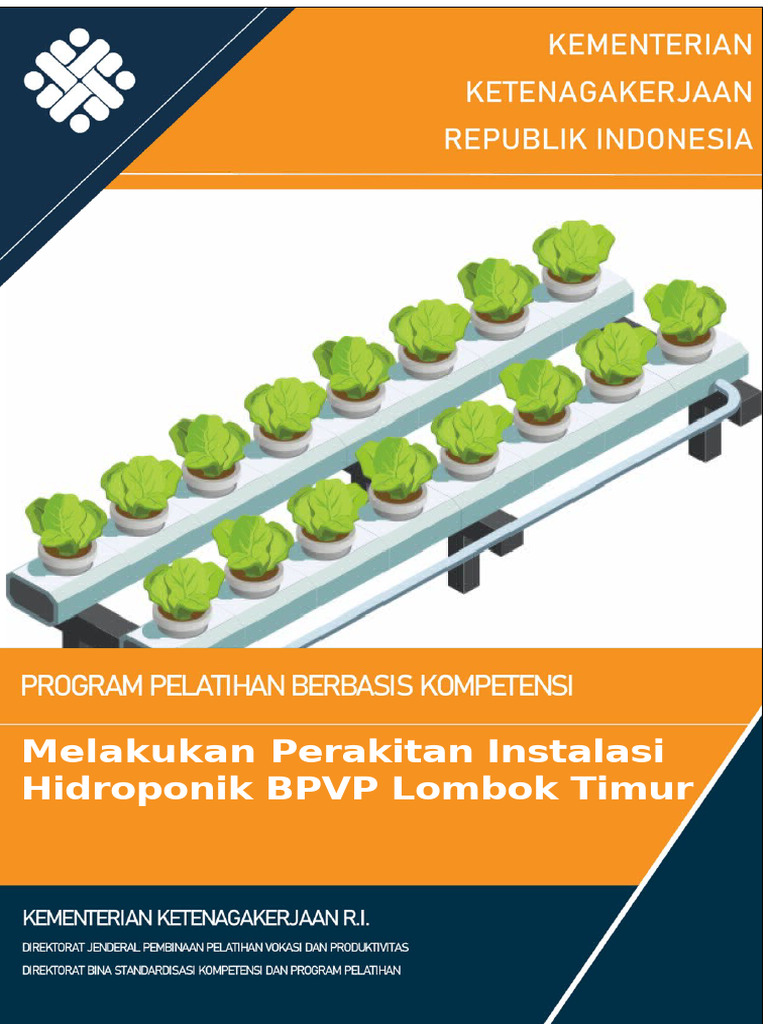 Program - Perakitan Instalasi Hidroponik | PDF
