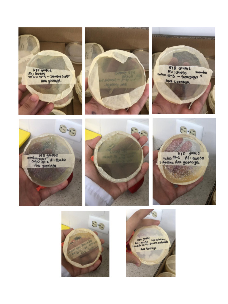 Lab Oratorio 11 | PDF