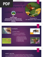 Biting and Chewing Insect Mouthparts | PDF | Insects | Arthropods