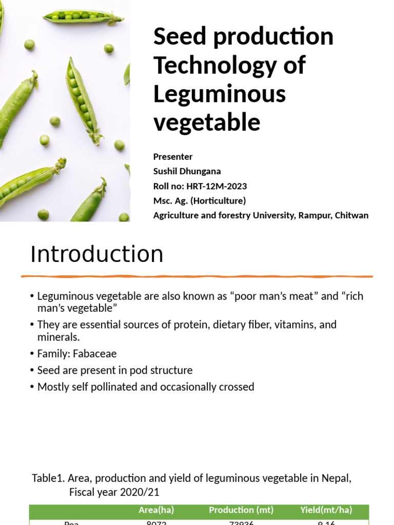 Leguminous Vegetable Seed Production Guide | PDF | Legume | Pea