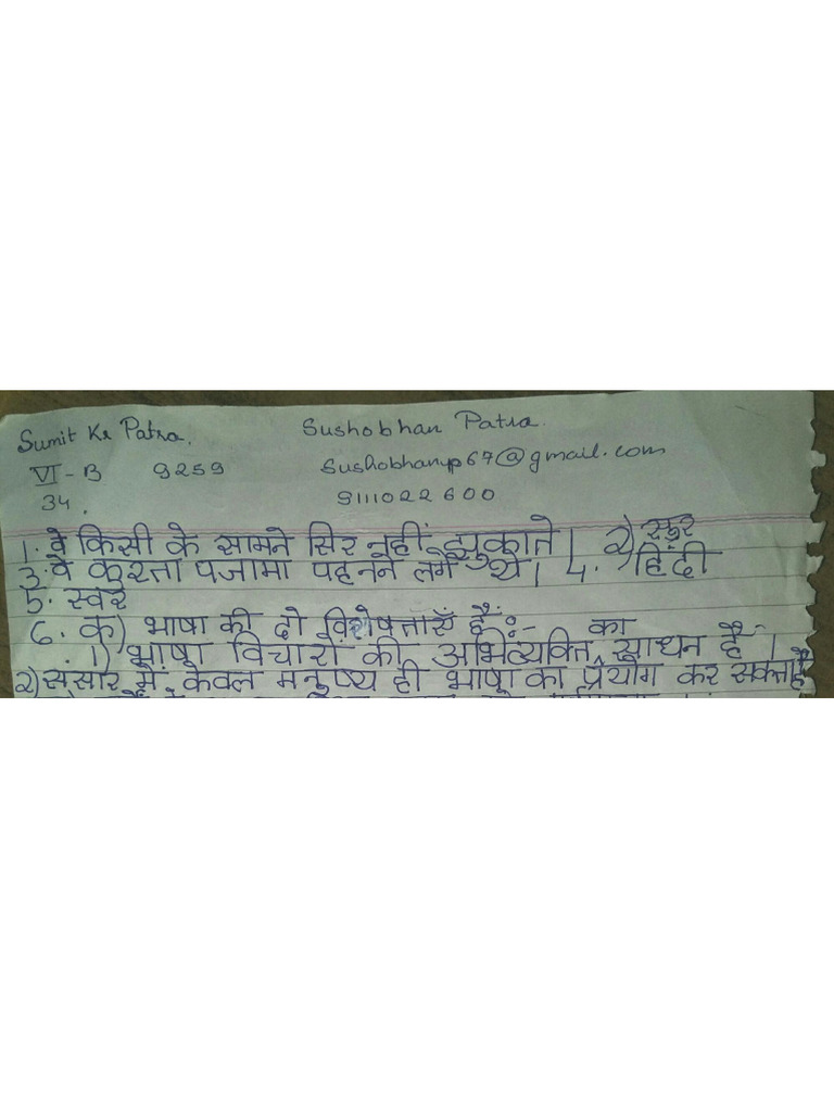 Sumit Kr Patra Class 6-B Hindi | PDF