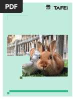 EAZA Best Practice Guidelines Red Panda Final Dec 2021 | PDF | Giant ...