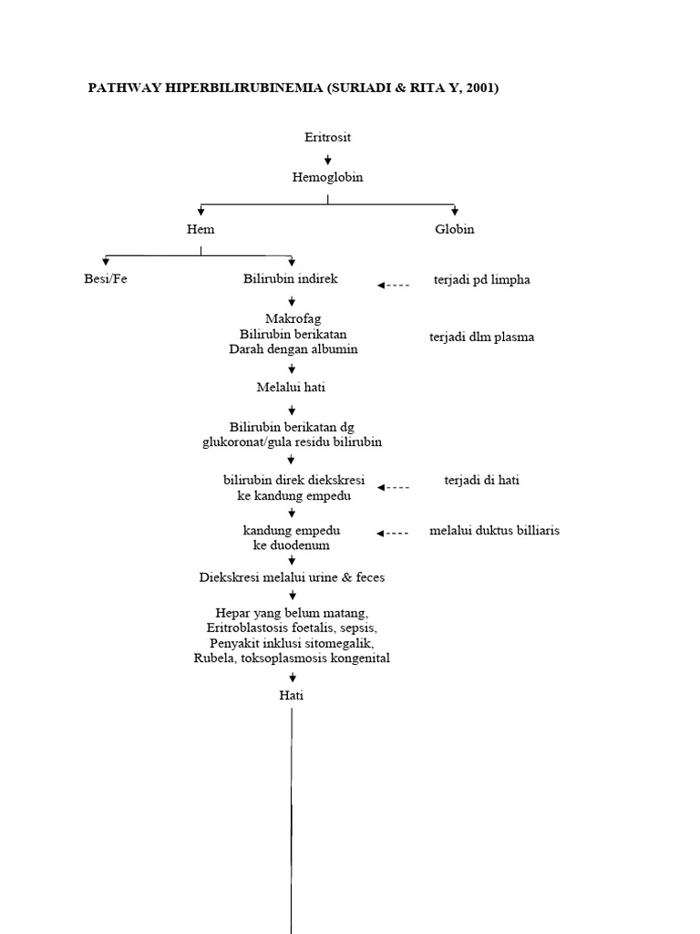 Pathway Hiperbilirubinemia | PDF