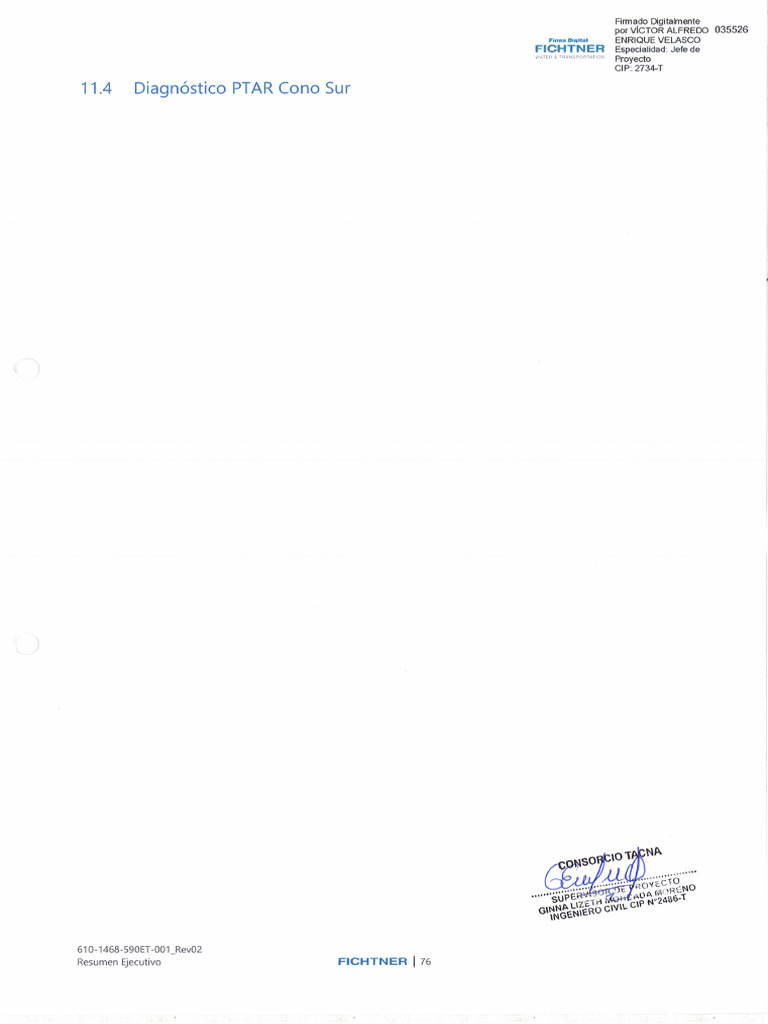 11.4 Diagnostico Cono Sur | PDF