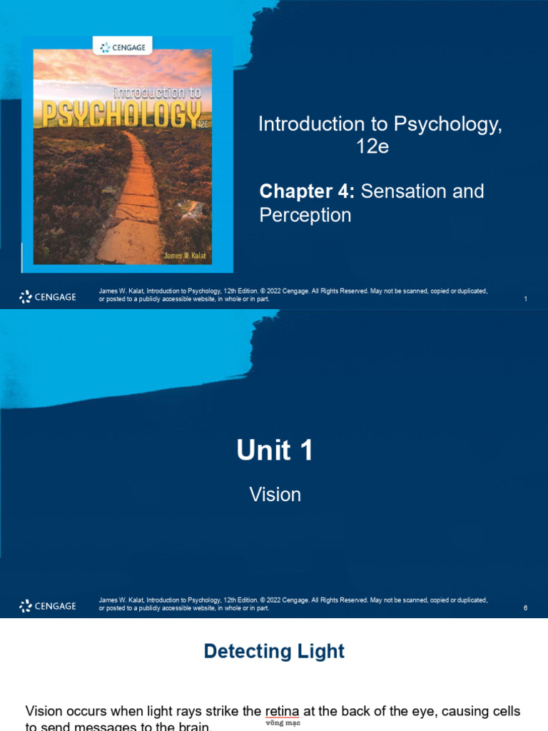Kalat IntroPsychology 12e PPT CH04 GOLD | PDF | Senses | Perception