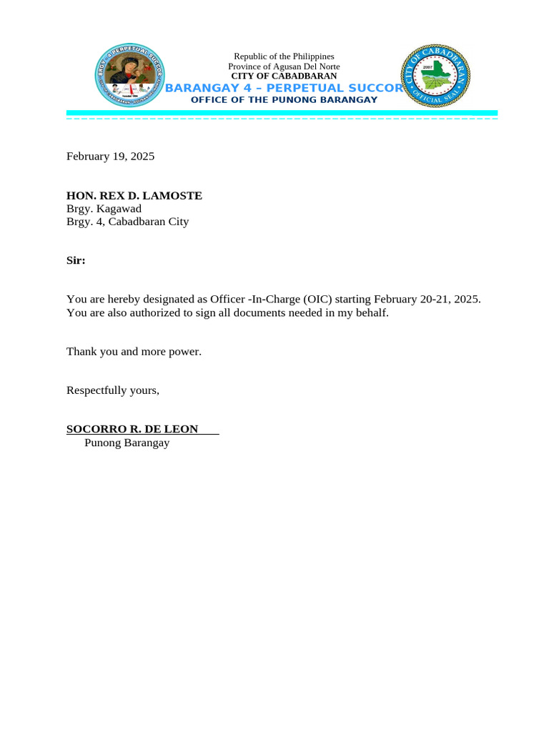 Appointment of Punong Barangay | PDF