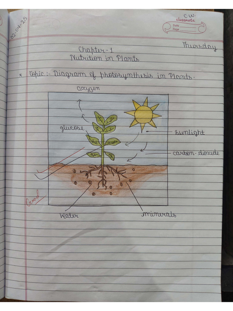 Class - 7 Science Ch-1 | PDF
