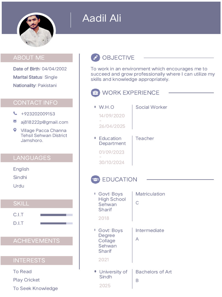 Aadil Ali's CV | PDF
