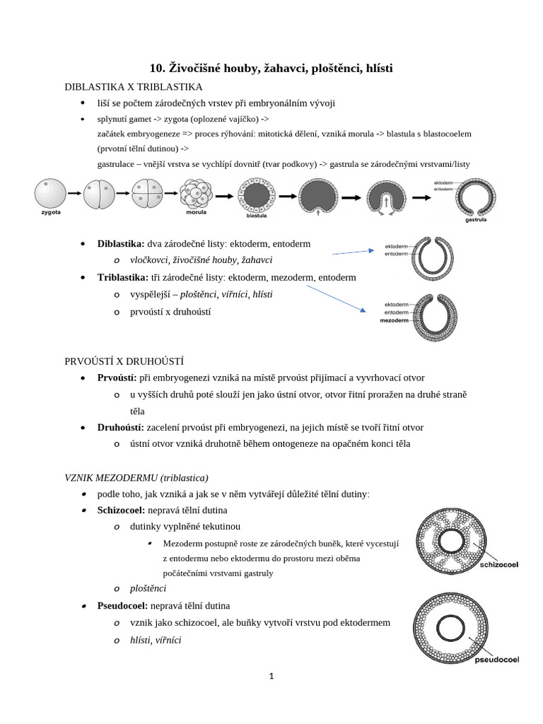 Ziv - Houby, Zahavci, Plostenci, Hlisti | PDF