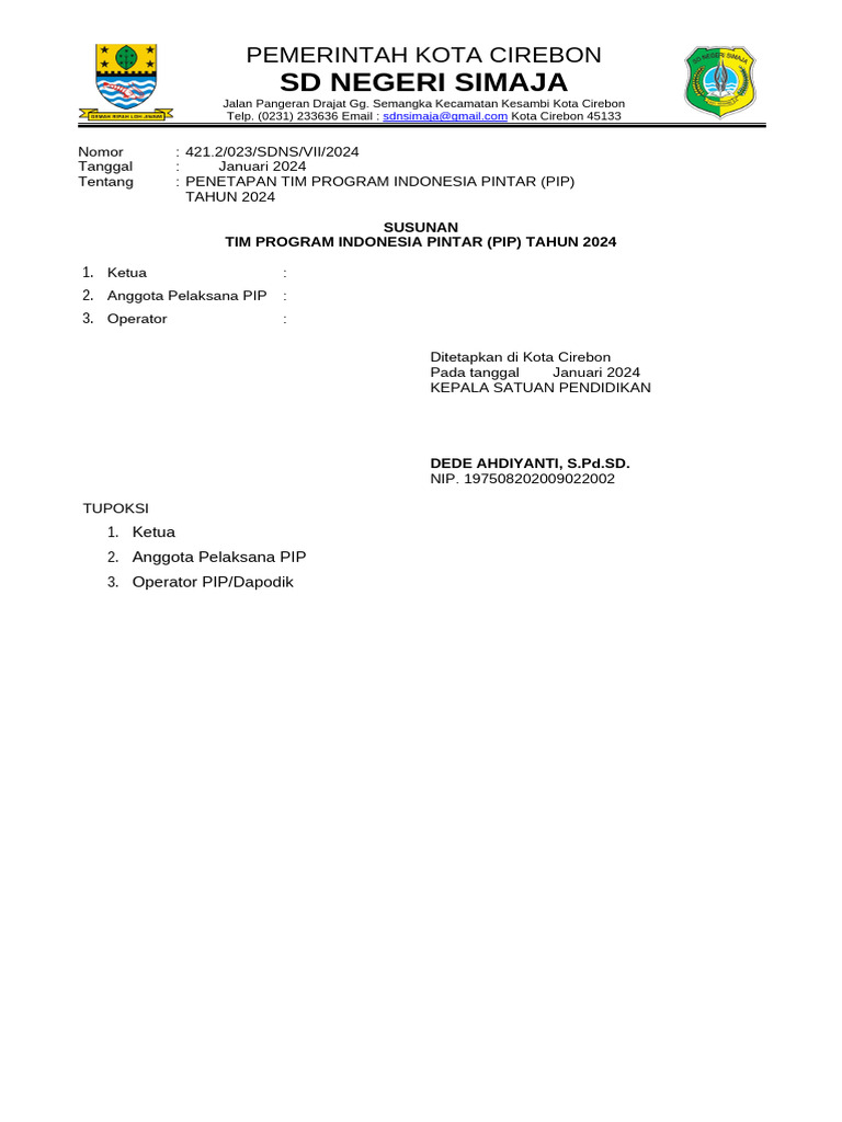 SK TIM PIP 2024 | PDF