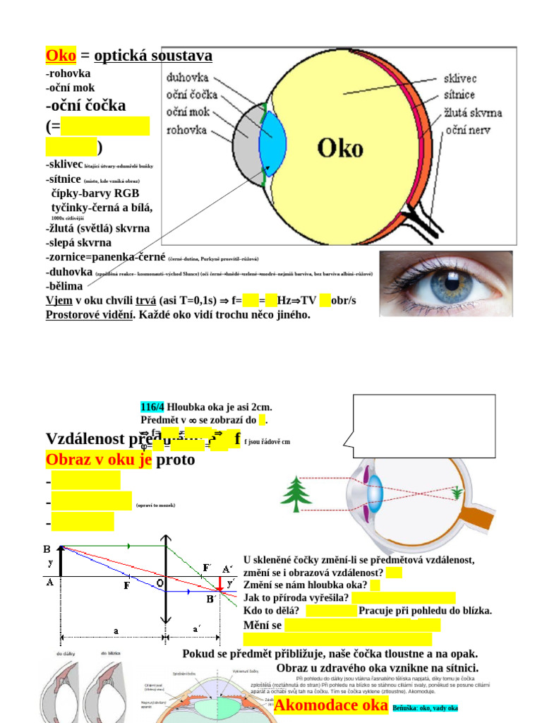 5 Oko | PDF
