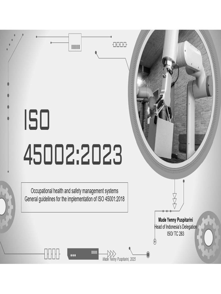 Panduan Implementasi ISO 45002:2023 | PDF