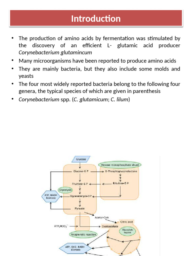 Glutamic Acid Production | PDF | Biology | Chemistry