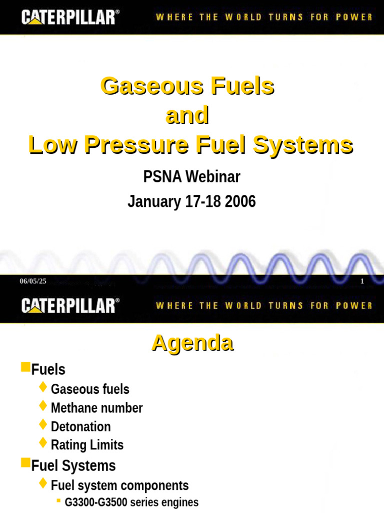 Gas Genset Fuels Low Pressure Fuel Systems | PDF | Carburetor | Combustion