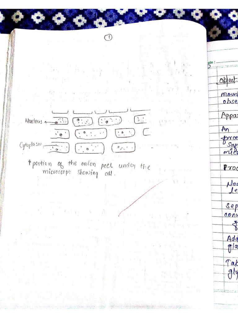 Botany Practical English Medium | PDF
