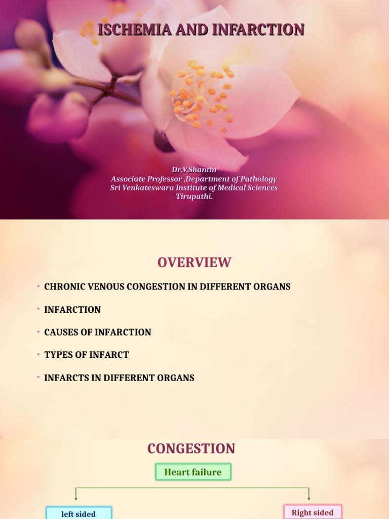 Ischemia and Infarction | PDF | Ischemia | Liver