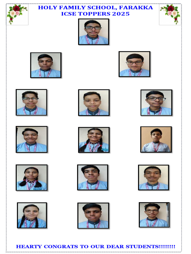 Icse Toppers | PDF