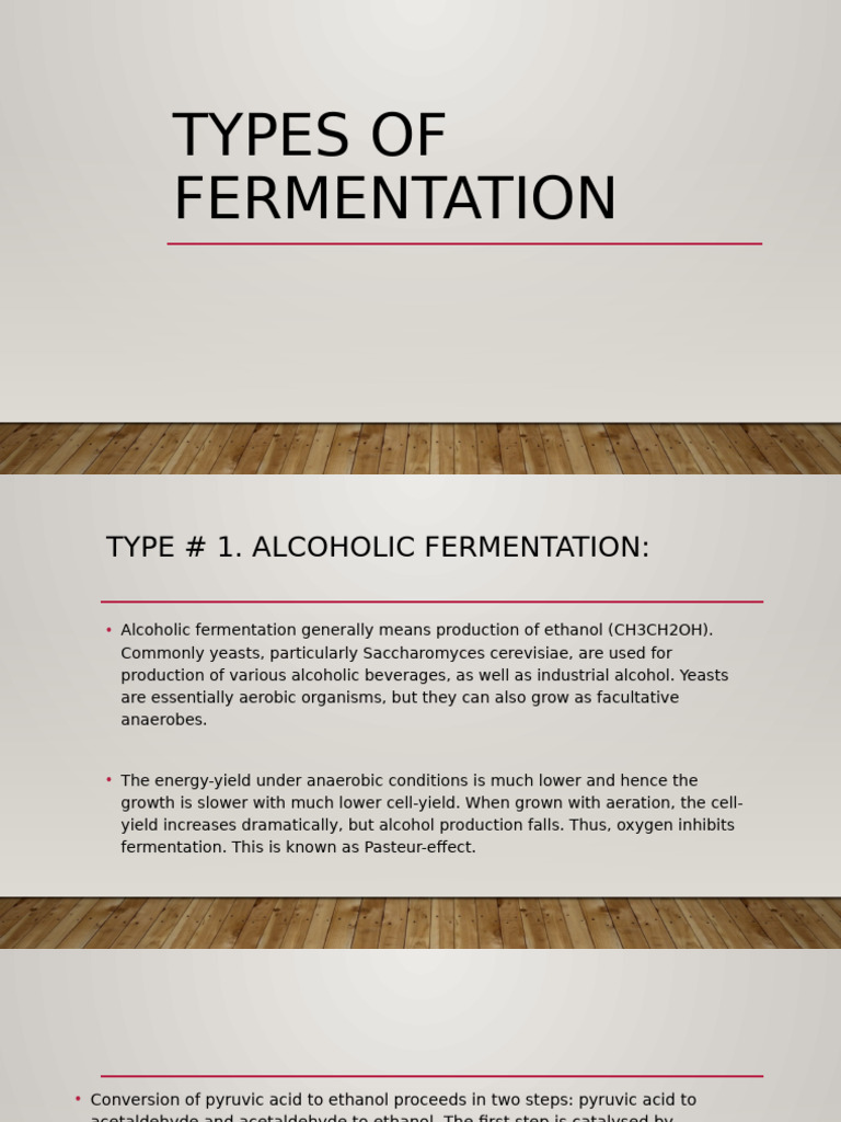 Types of Fermentation Explained | PDF | Fermentation | Lactic Acid