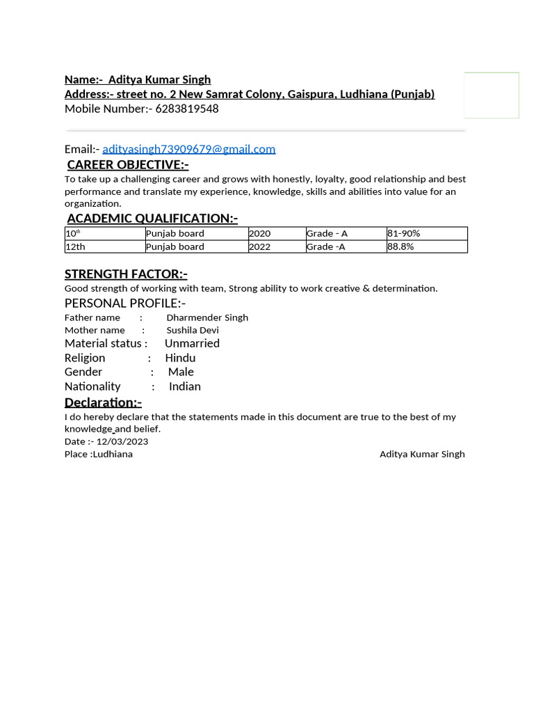 Aditya Kumar Singh - Resume Overview | PDF