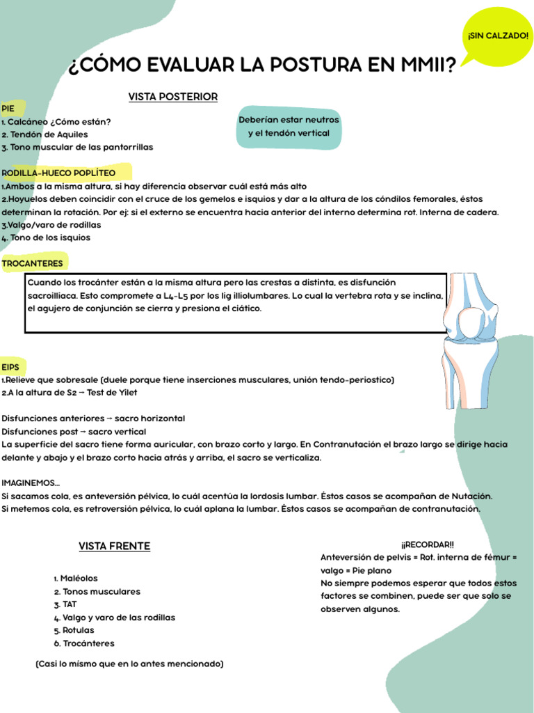 ¿Cómo Evaluar La Postura? | PDF | Pelvis | Rodilla