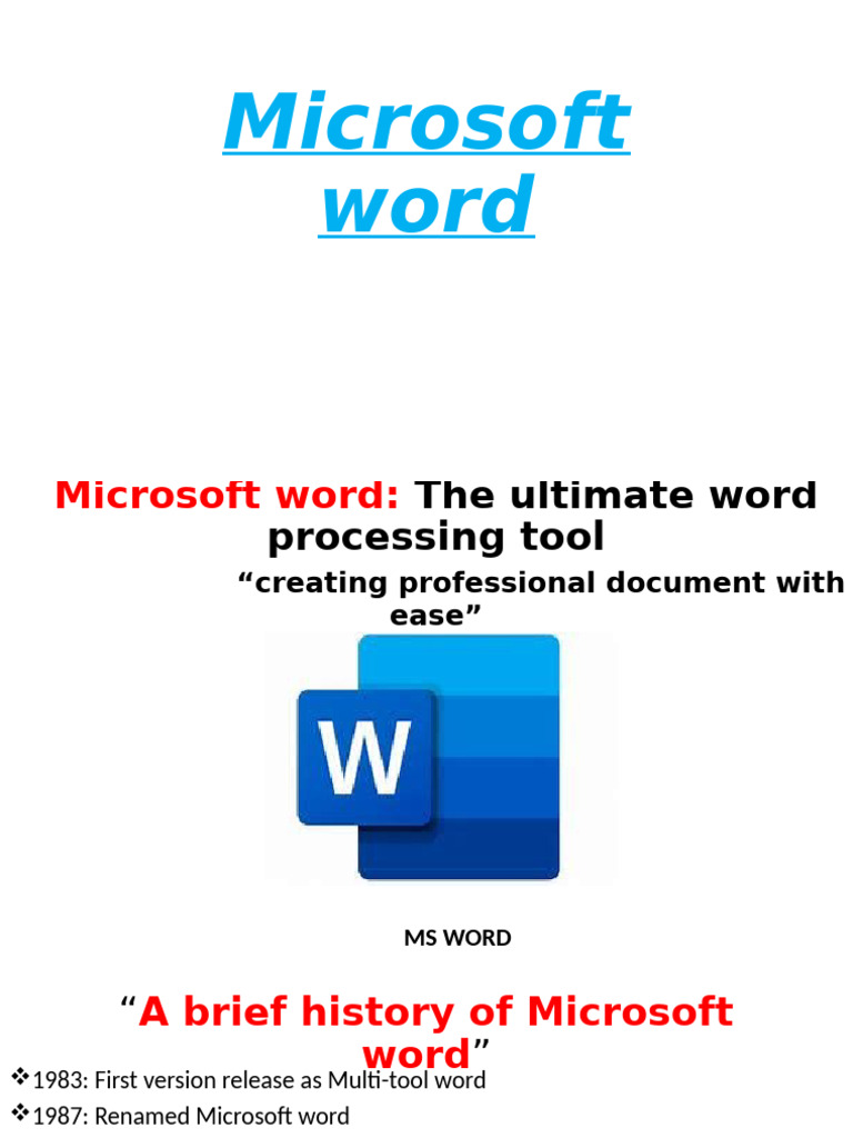 Ms Word Presentation Netrajit | PDF
