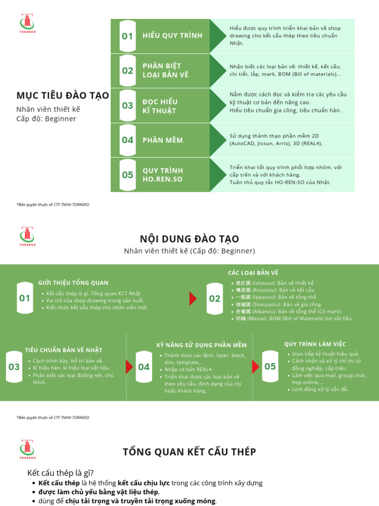 Torneko Beginer Traning | PDF