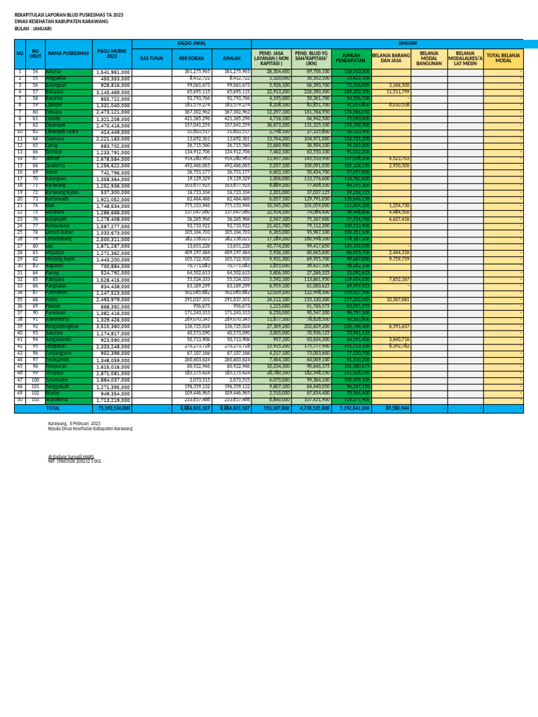Laporan Manual Blud 2023 Bpkad | PDF