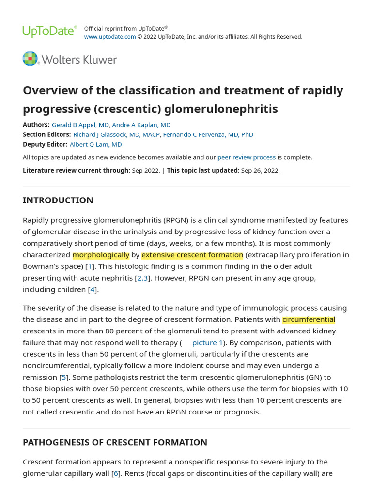 Classification and Treatment of Rapidly Progressive Glomerulonephritis ...