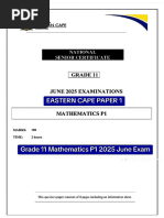 Mathematical Literacy Grade 11 Paper 1 June 2025 | PDF